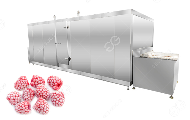 IQF Frozen Raspberry Production Line