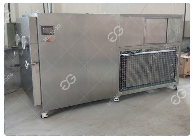 Freeze Drying Machine For Sale
