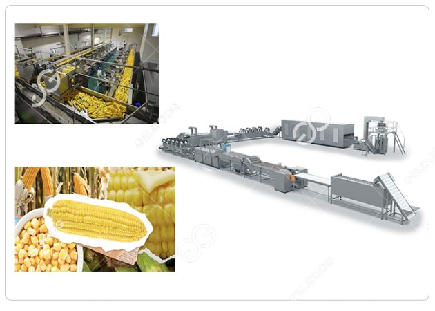 Frozen Sweet Corn Processing Project Report
